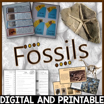 Fossils Pack - mold, cast, true-form, trace, paleontologist / Distance ...