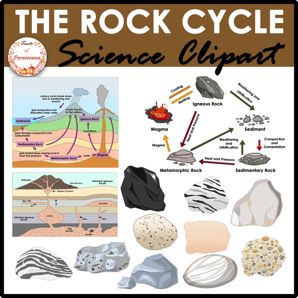 Rock Cycle & Types of Rocks Clipart | Igneous Metamorphic Sedimentary ...