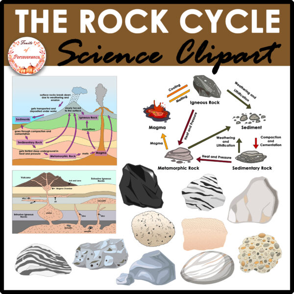 Rock Cycle & Types of Rocks Clipart | Igneous Metamorphic Sedimentary ...
