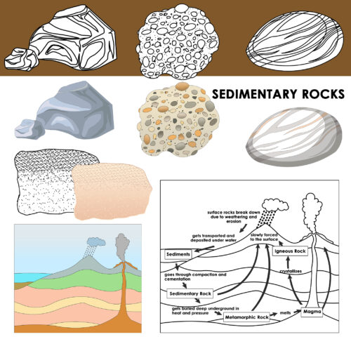 Rock Cycle & Types of Rocks Clipart | Igneous Metamorphic Sedimentary ...