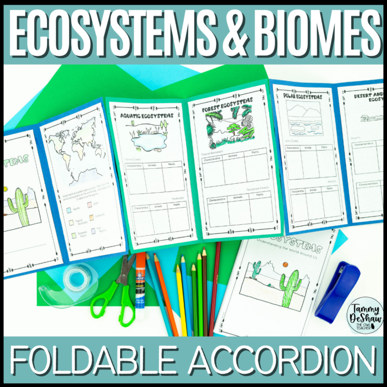 Ecosystems & Biomes Foldable Accordion Activity - Made By Teachers