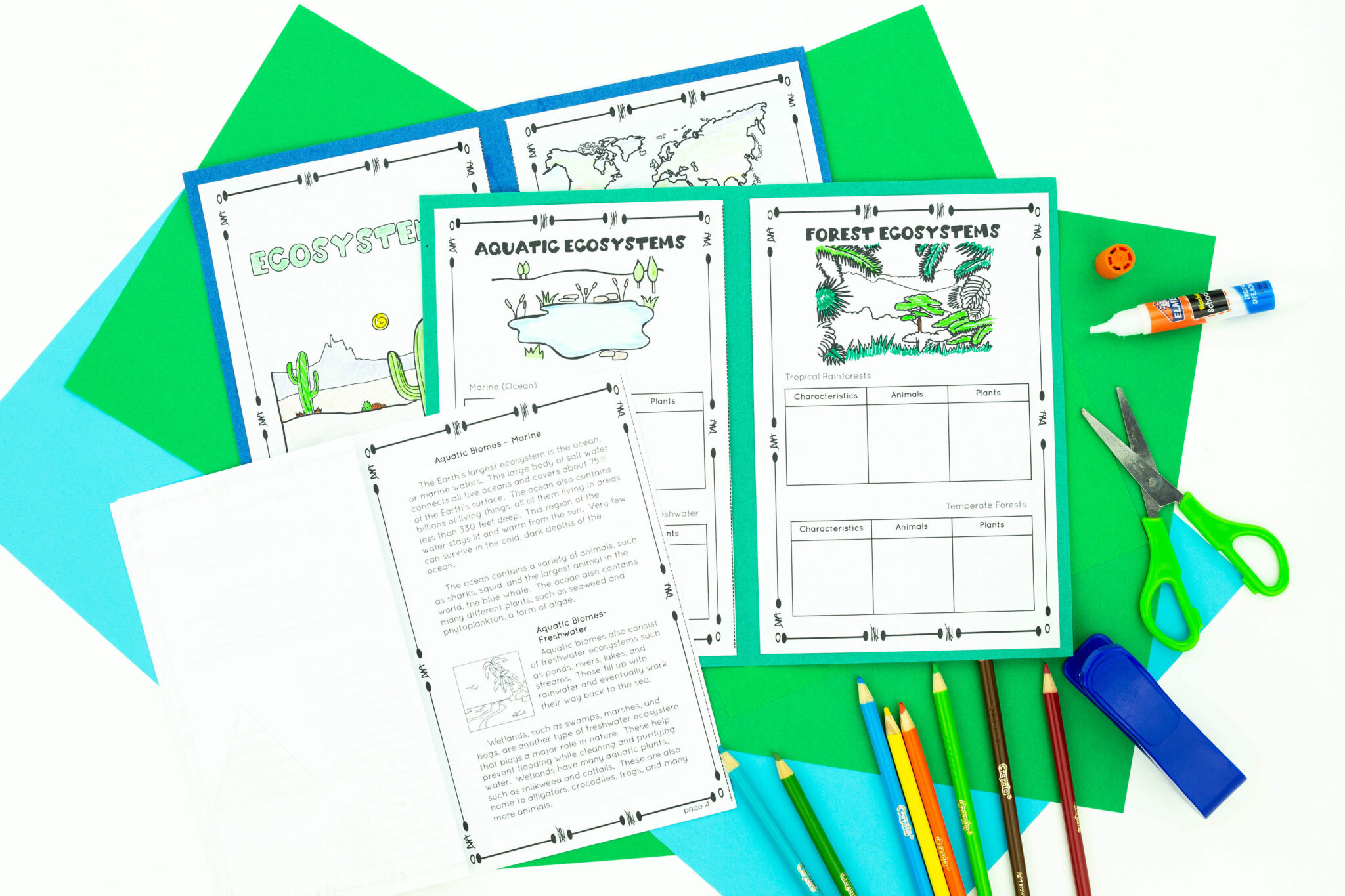 Ecosystems & Biomes Foldable Accordion Activity | Made By Teachers