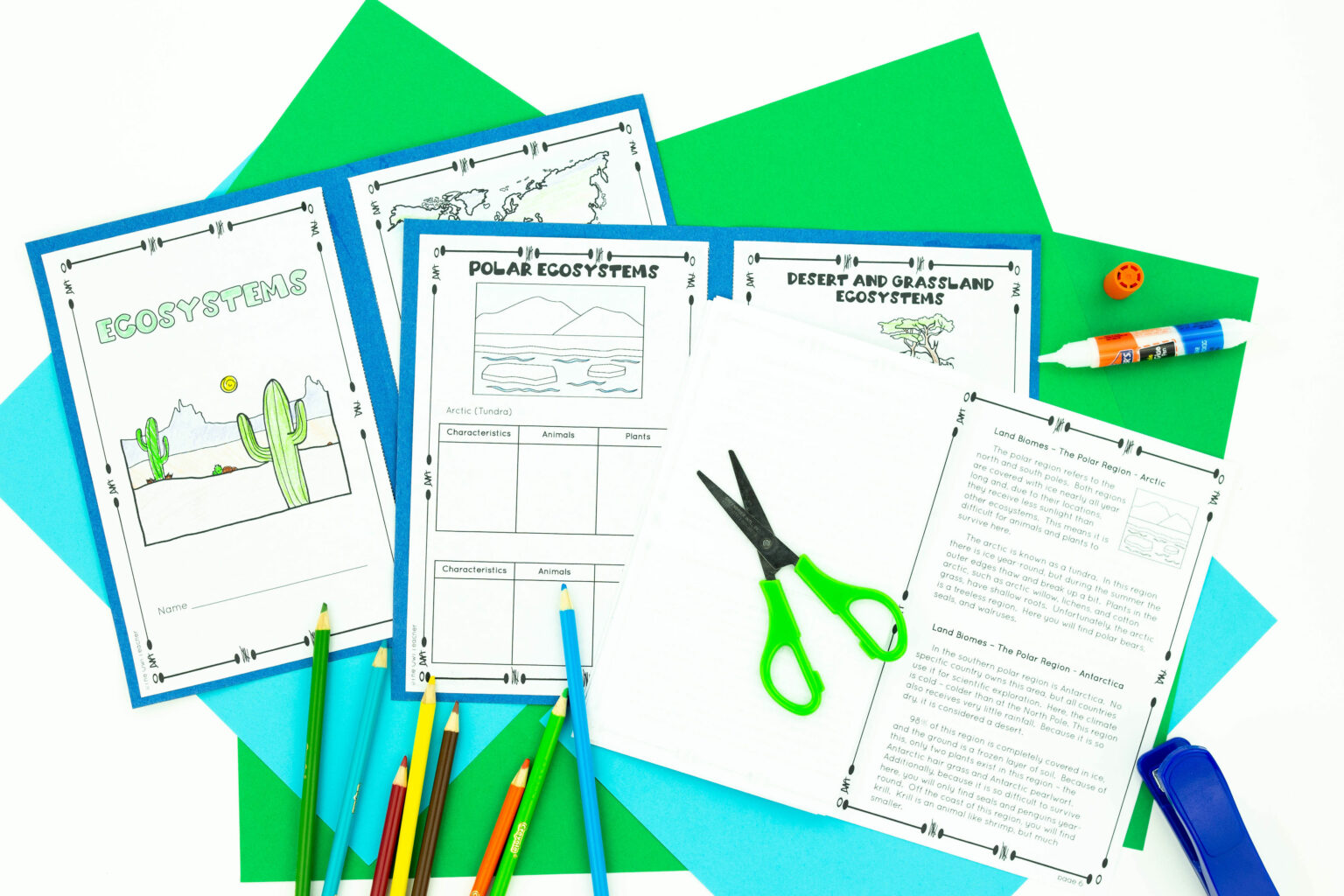 Ecosystems & Biomes Foldable Accordion Activity | Made By Teachers