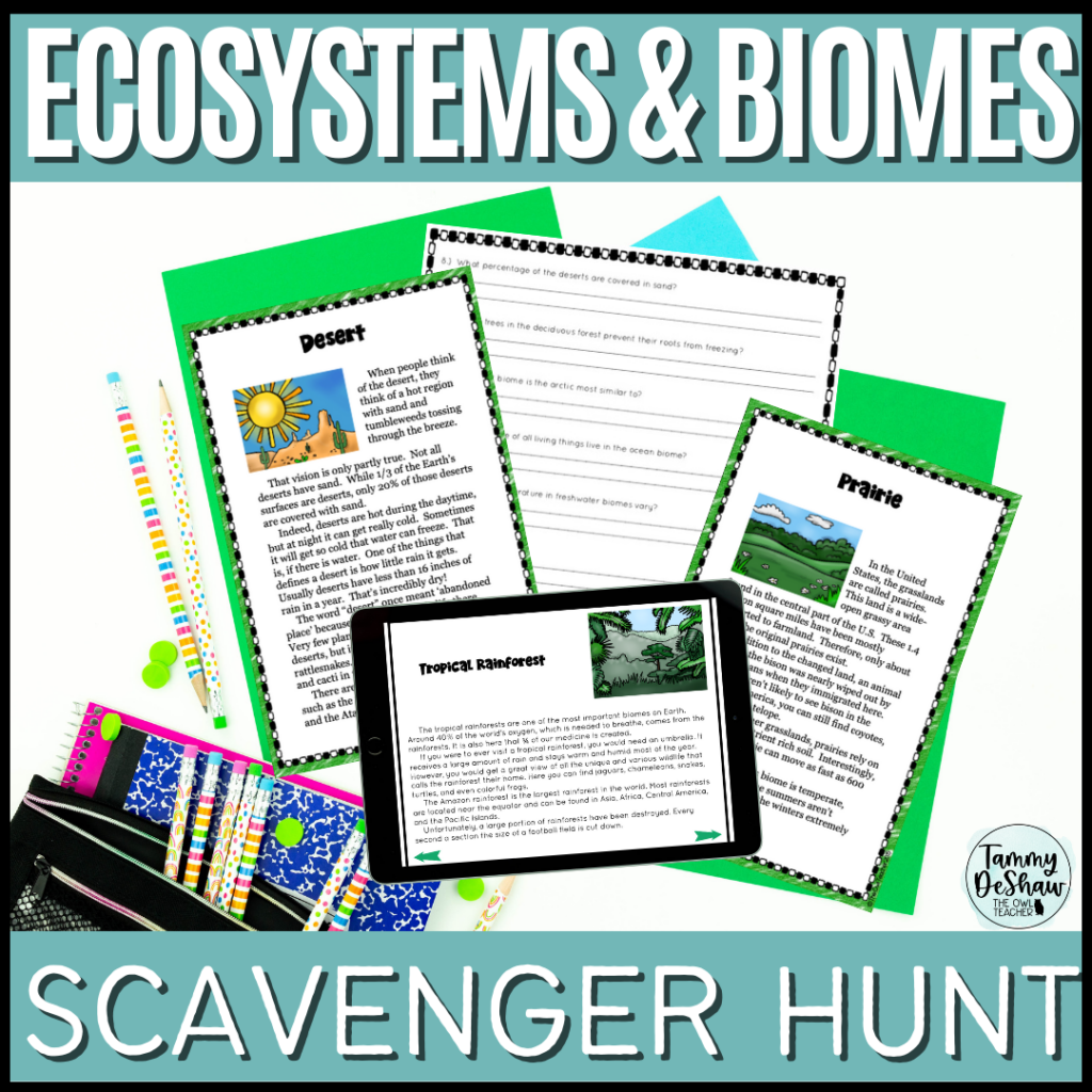 Ecosystems Scavenger Hunt Printable & Digital - Made By Teachers