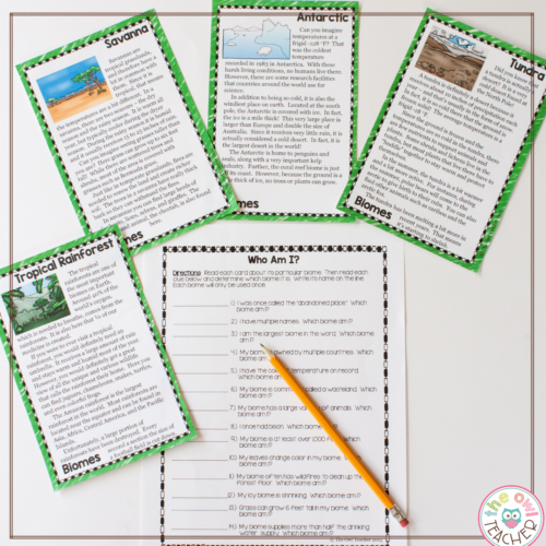 Ecosystems Scavenger Hunt Printable & Digital - Made By Teachers