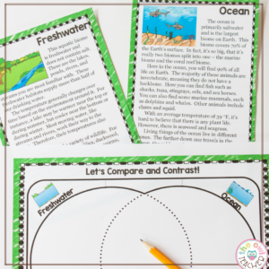Ecosystems Scavenger Hunt Printable & Digital - Made By Teachers