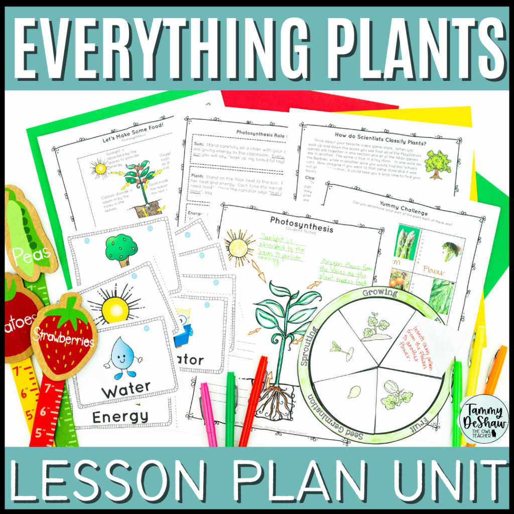 Parts of a Plant, Plant Life Cycle, Plant Needs, Photosynthesis, and ...