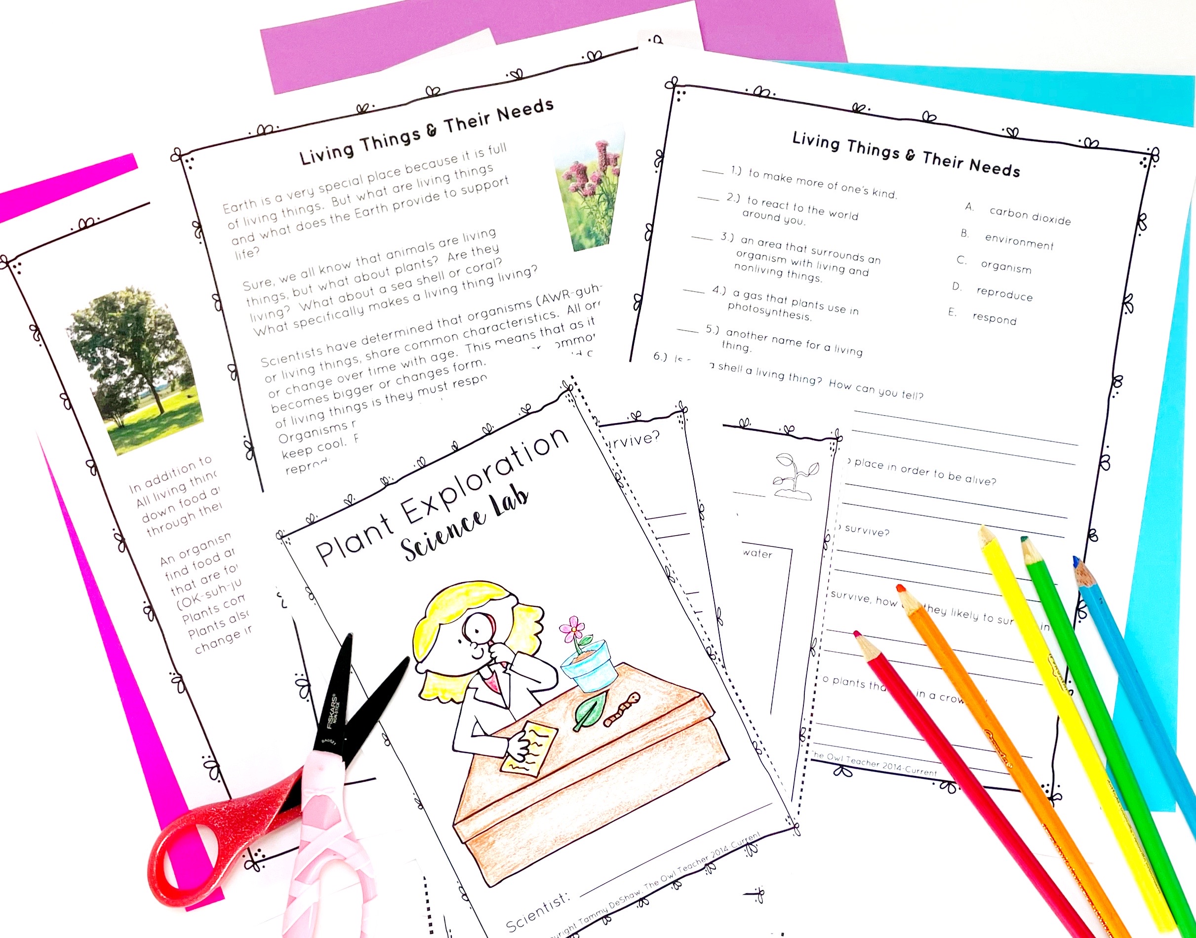 Parts of a Plant, Plant Life Cycle, Plant Needs, Photosynthesis | Made ...