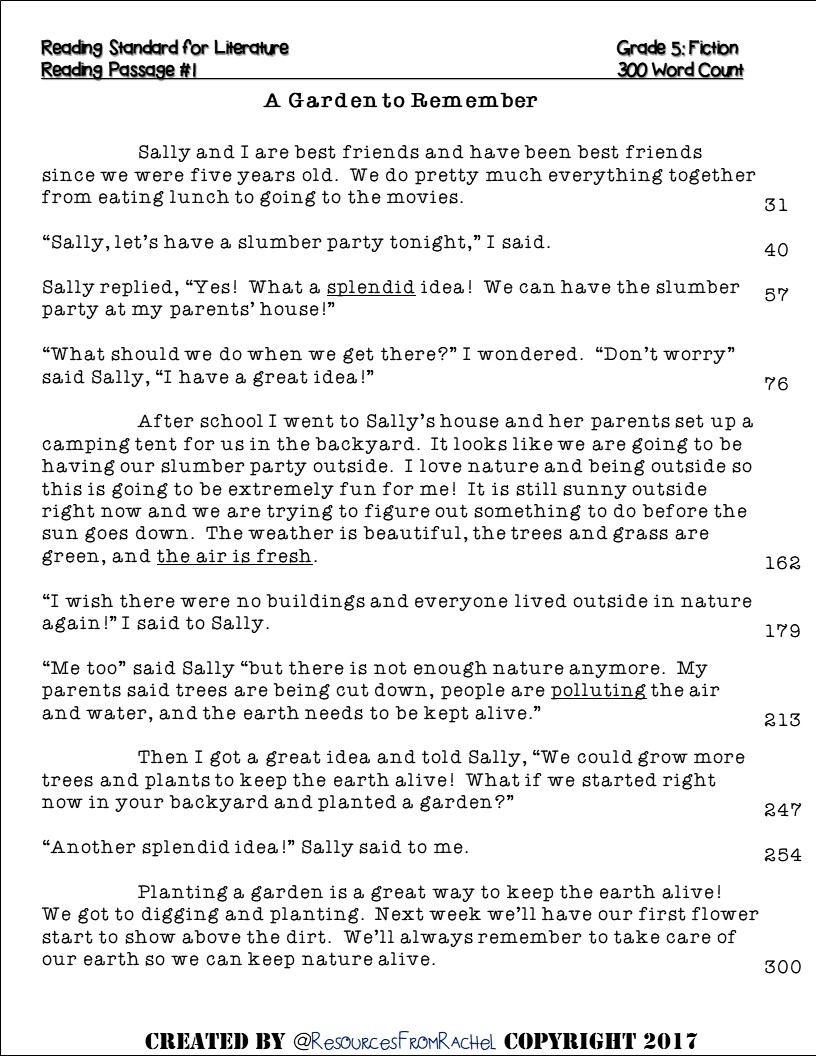 Reading Comprehension Assessment 5th grade volume 1 | Made By Teachers