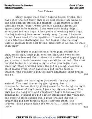 Reading Comprehension Assessment 5th grade volume 2 | Made By Teachers