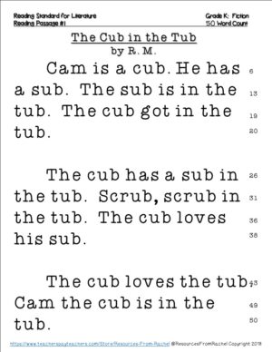 Reading Comprehension Assessments Kindergarten volume 1 | Made By Teachers