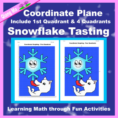 Winter Coordinate Plane Graphing Picture: Snowflake Tasting | Made By ...