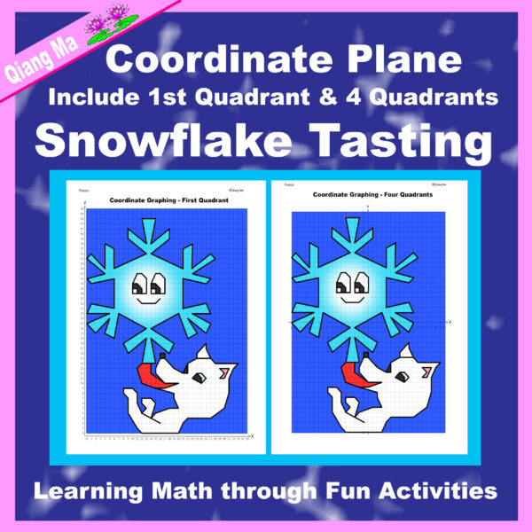 Winter Coordinate Plane Graphing Picture: Snowflake Tasting | Made By ...
