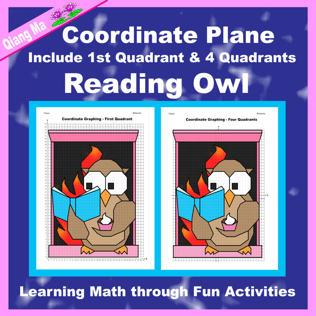 Winter Coordinate Plane Graphing Picture: Reading Owl | Made By Teachers