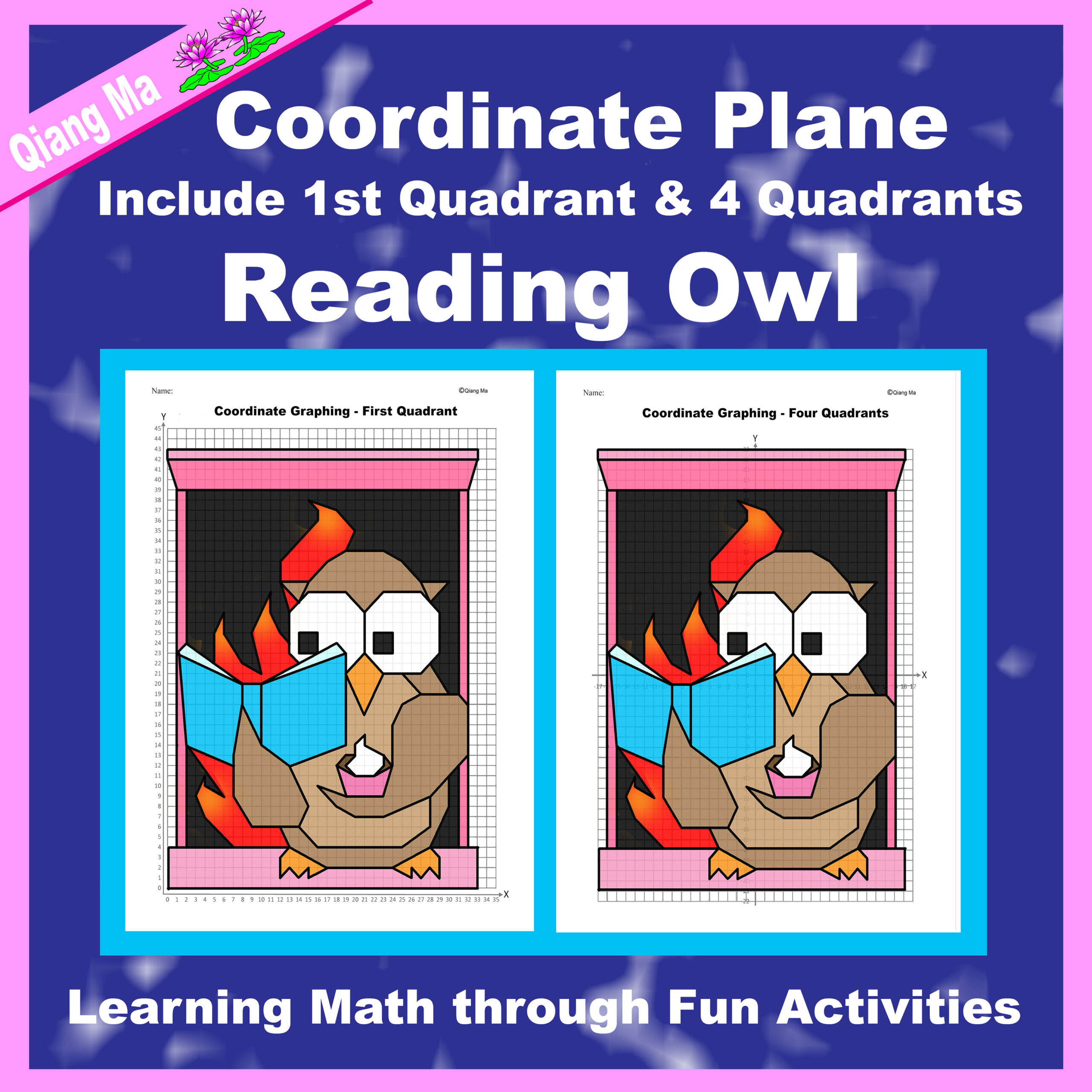 Winter Coordinate Plane Graphing Picture: Reading Owl | Made By Teachers