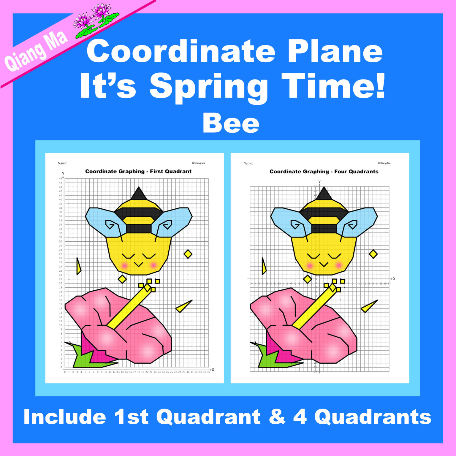 Spring Coordinate Plane Graphing Picture: Bee | Made By Teachers