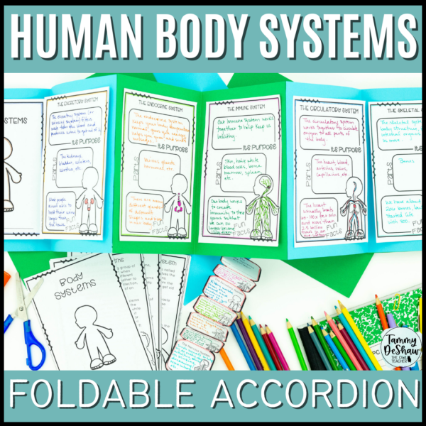 Human Body Systems Activity | Foldable Booklet Printable & Digital ...