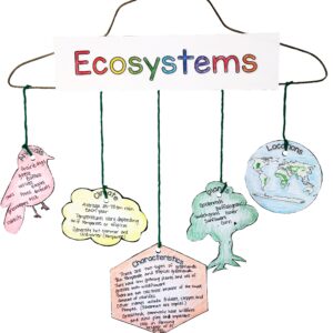 Ecosystems and Biomes Project Ecosystems Mobile & Activity | Made By ...