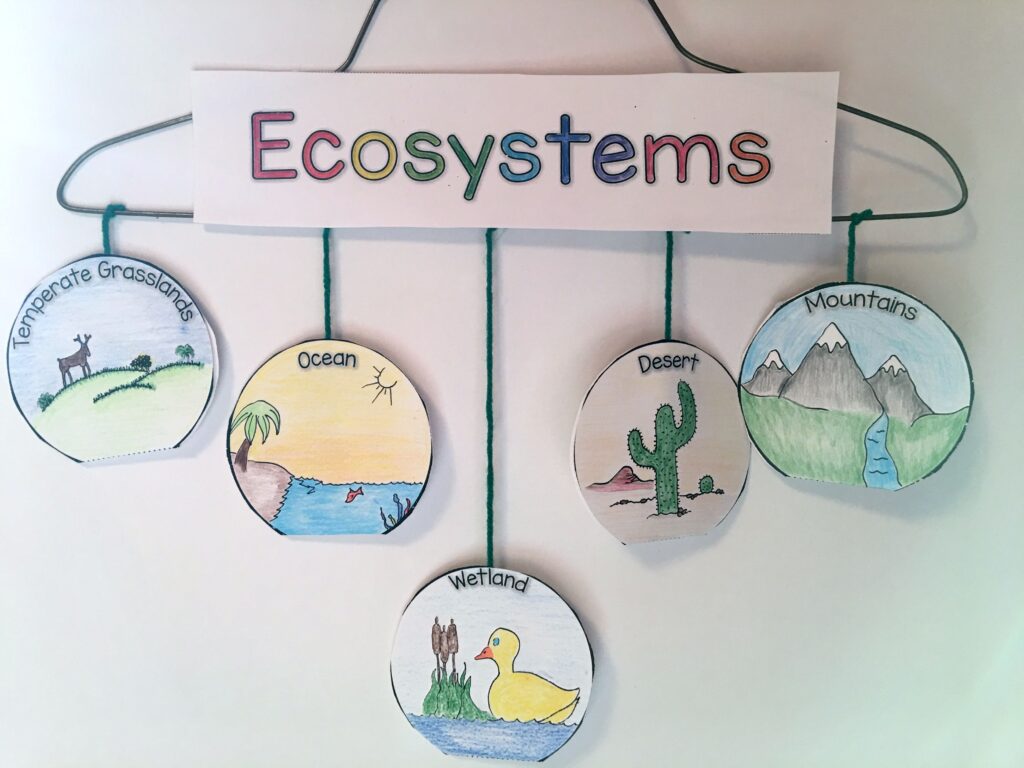 Ecosystems and Biomes Project Ecosystems Mobile & Activity | Made By ...