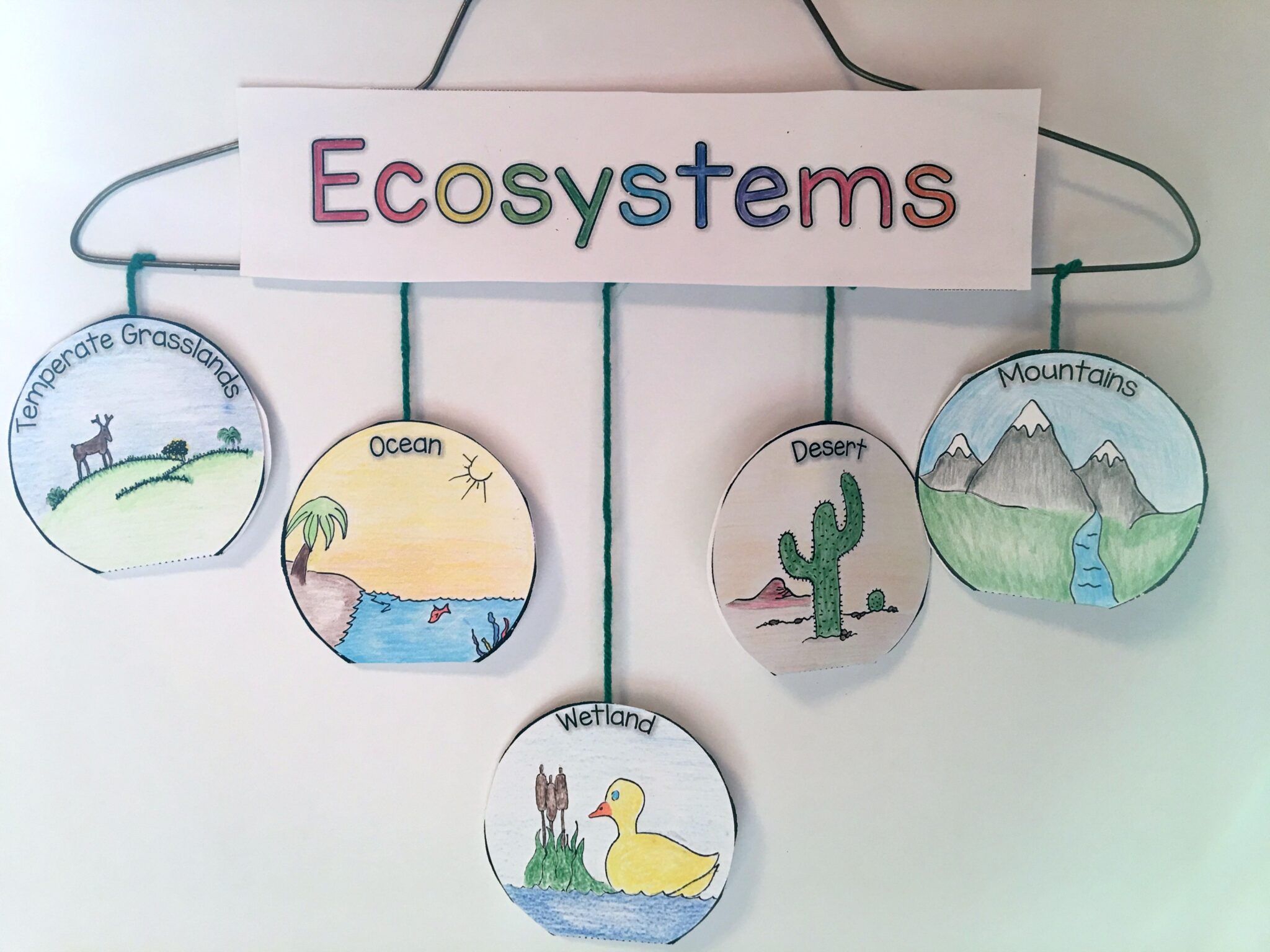 Ecosystems and Biomes Project Ecosystems Mobile & Activity | Made By ...
