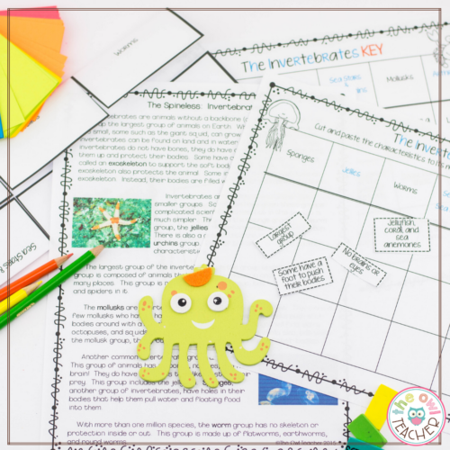 Vertebrate and Invertebrate | Animal Classification Worksheets | Lesson ...