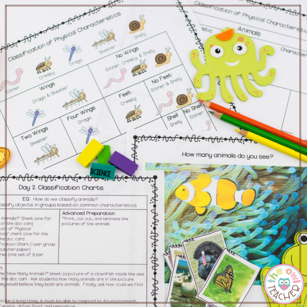 Vertebrate and Invertebrate | Animal Classification Worksheets | Lesson ...