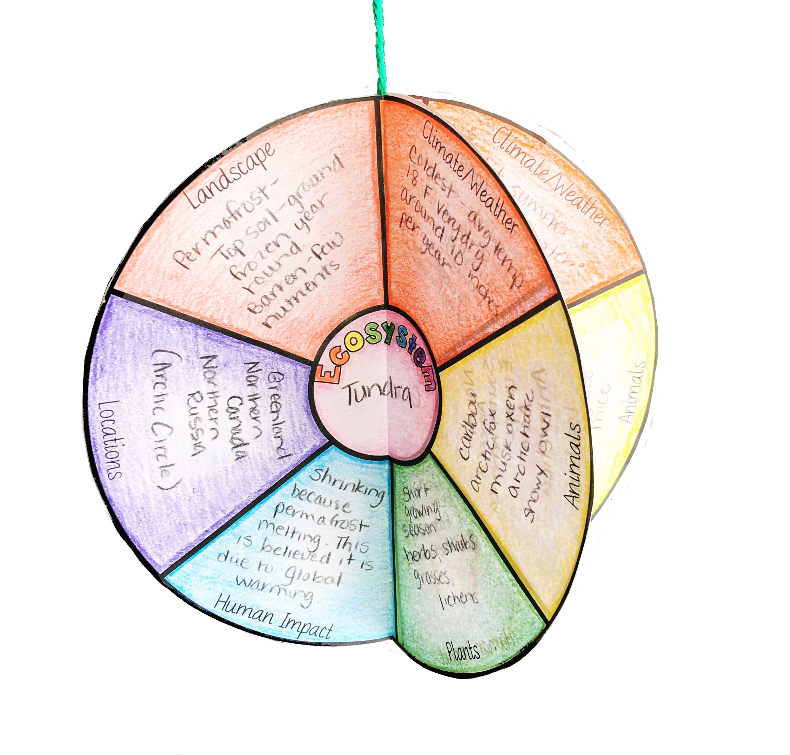 Ecosystem Activity | Circle Book Craftivity Printable & Digital ...