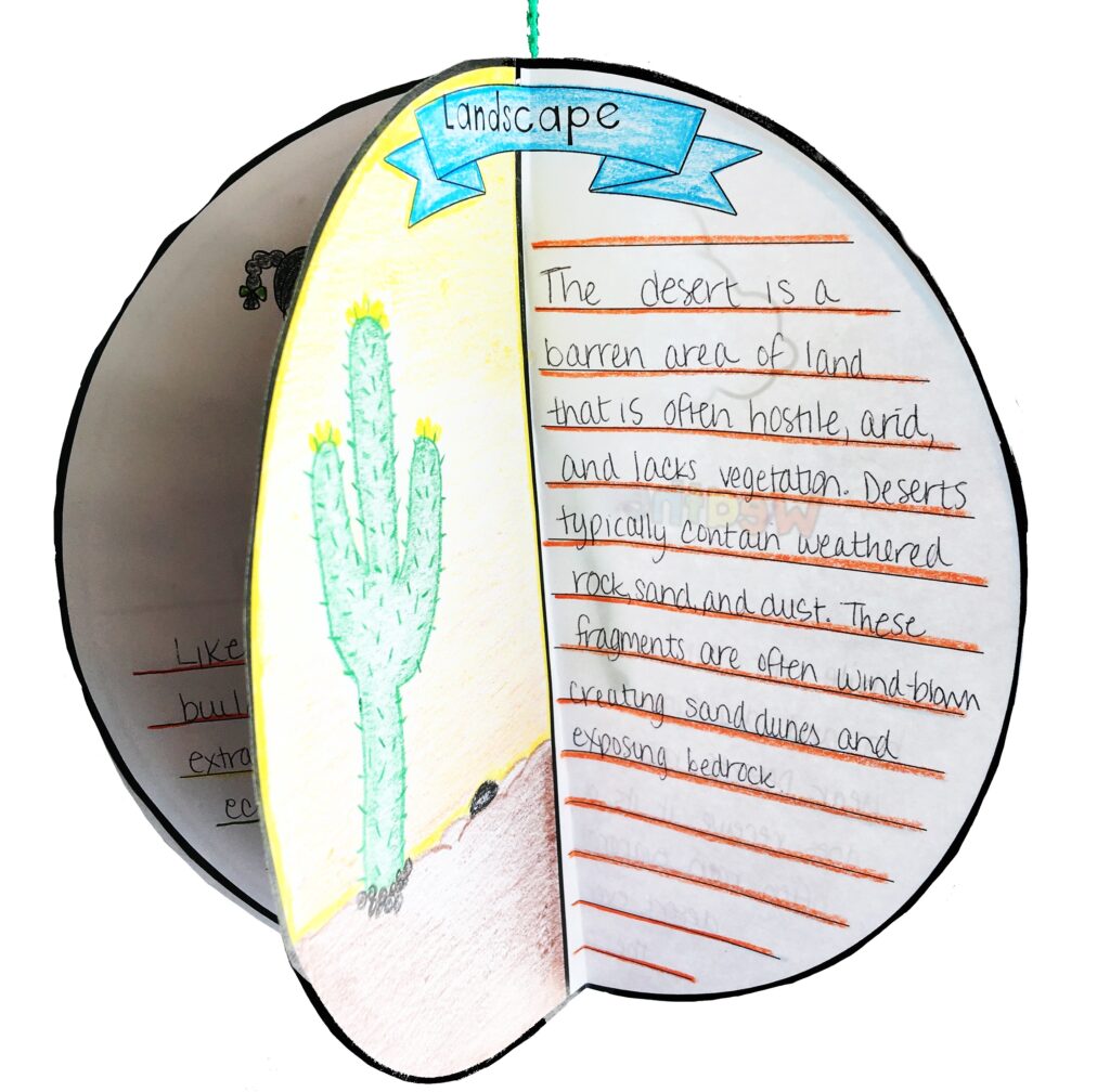 Ecosystem Activity | Circle Book Craftivity Printable & Digital ...