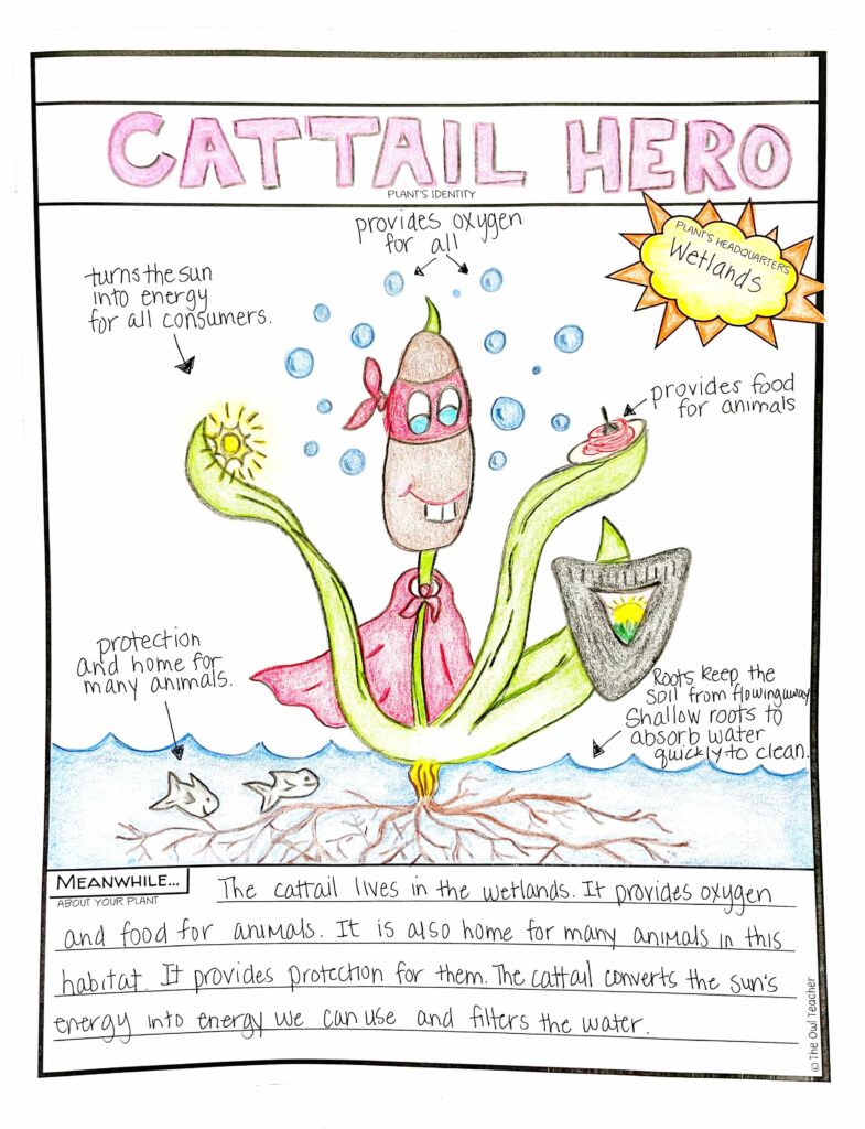 Plant Adaptations Superheroes Project | Made By Teachers