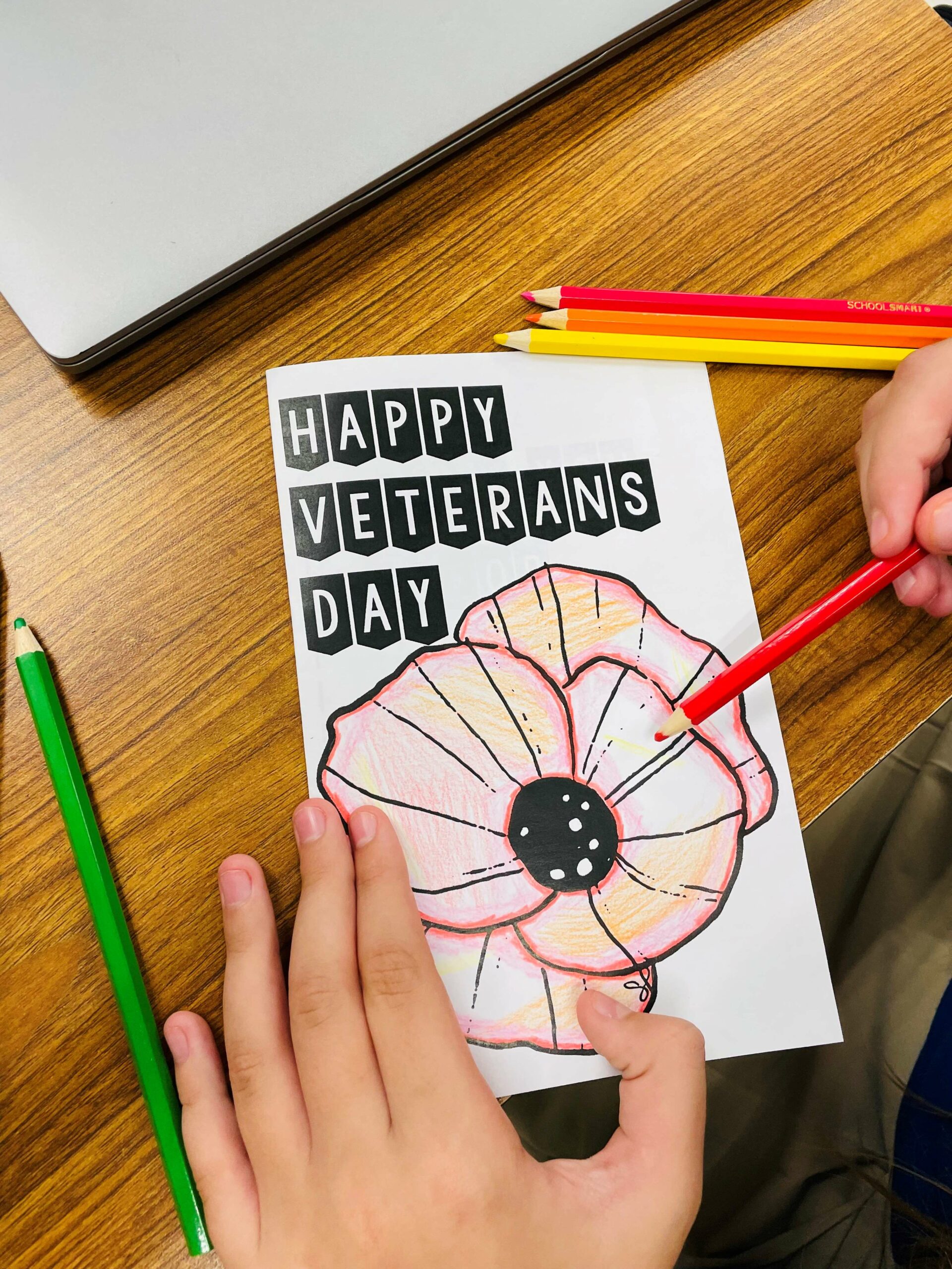 Veterans Day Lesson Plan on Gratitude | Made By Teachers