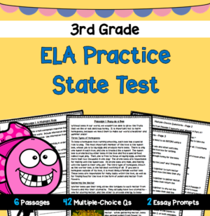 3rd Grade ELA Practice State Test #1 | Made By Teachers