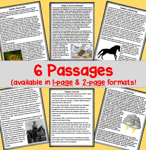 3rd Grade ELA Practice State Test #1 | Made By Teachers