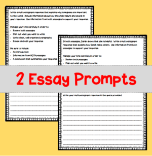 3rd Grade ELA Practice State Test #1 | Made By Teachers