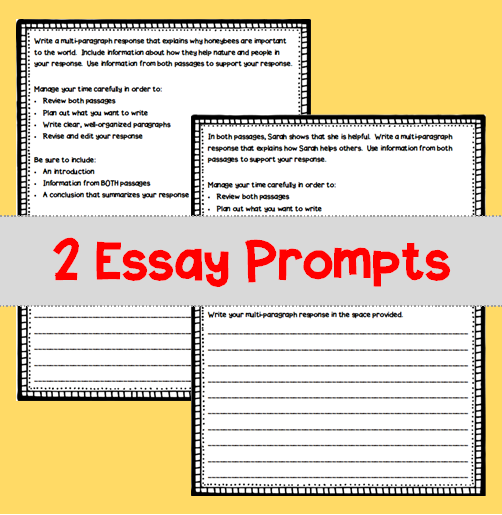 3rd Grade ELA Practice State Test #1 | Made By Teachers