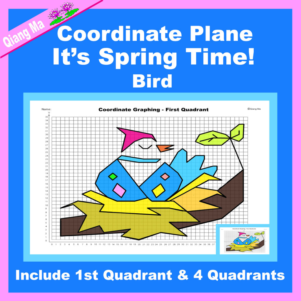 Spring Coordinate Plane Graphing Picture: Bird | Made By Teachers