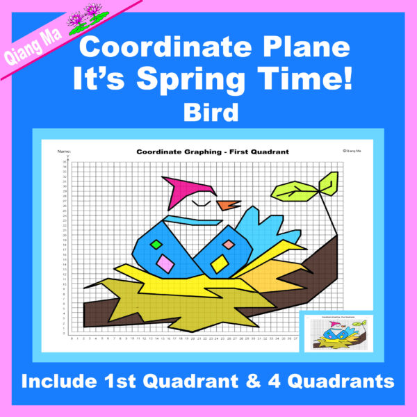 Spring Coordinate Plane Graphing Picture: Bird | Made By Teachers