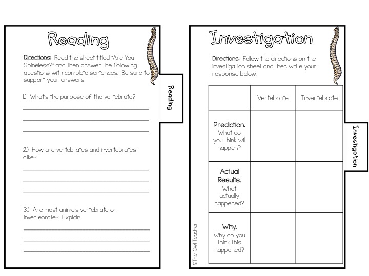 Vertebrate & Invertebrate | Animal Classification | Booklet Printable ...