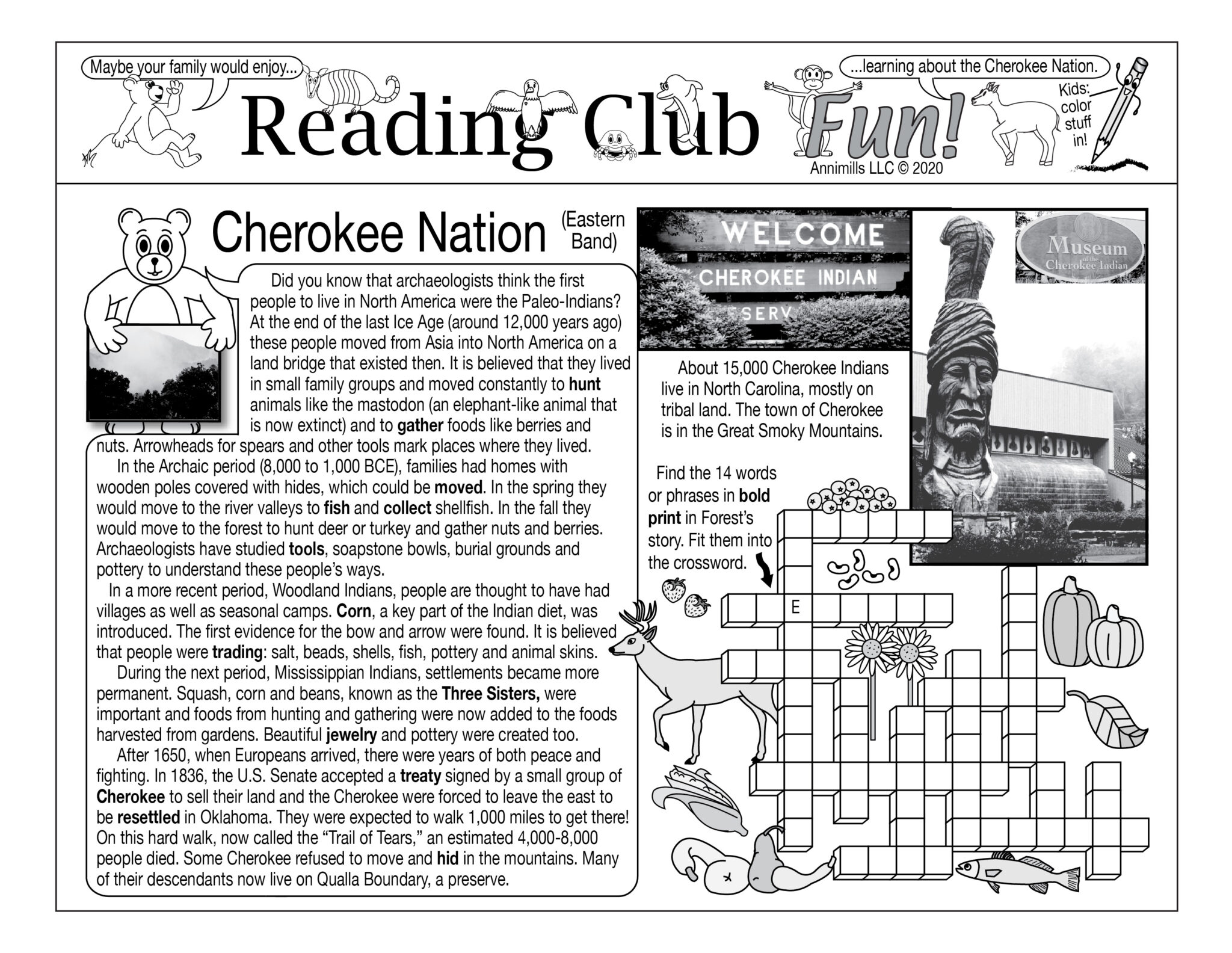 Cherokee Nation (Eastern Band) – Native American Heritage Puzzles ...