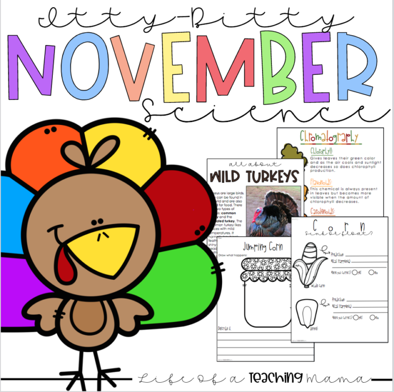 The Great Turkey Race | Made By Teachers