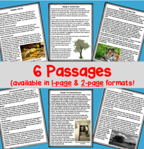 3rd Grade ELA Practice State Test #2 | Made By Teachers