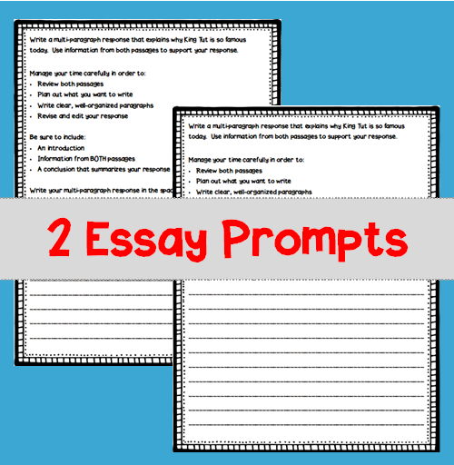 3rd Grade ELA Practice State Test 2 Made By Teachers