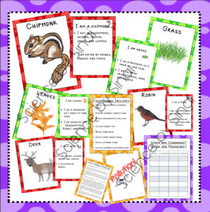 Interactive STUDENT FOOD WEB! Food Chain Activity NGSS LS2-3 and 5-LS2 ...