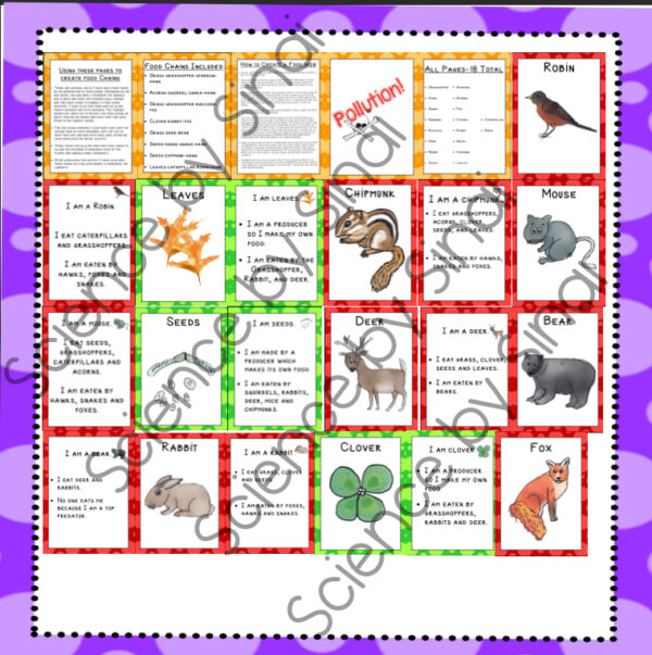 Interactive STUDENT FOOD WEB! Food Chain Activity NGSS LS2-3 and 5-LS2 ...