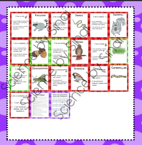 Interactive STUDENT FOOD WEB! Food Chain Activity NGSS LS2-3 and 5-LS2 ...