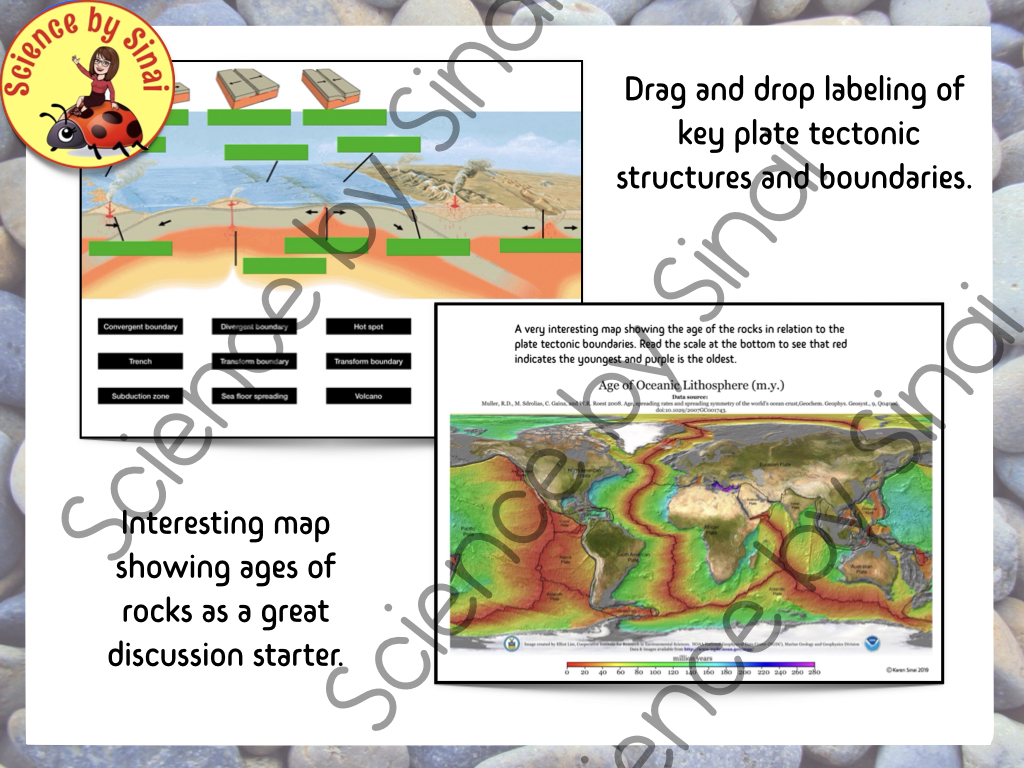 Drag and Drop PLATE TECTONICS DIGITAL ACTIVITY | Made By Teachers
