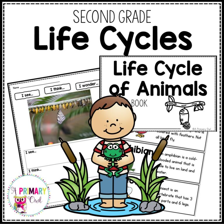 Life Cycles Unit Second Grade Sequencing Cards STEM Projects Mini Books ...