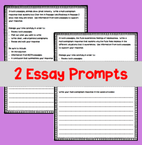 3rd Grade ELA Practice State Test #3 | Made By Teachers
