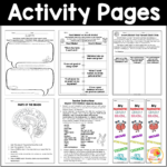 Your Fantastic Elastic Brain Activities Upper Grades Read Aloud ...