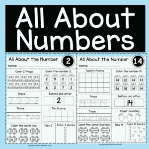 All About Numbers 1-20 | No Prep Packet | Made By Teachers