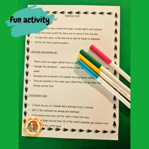 Rainforest Deforestation Lesson Plans and Resources | Made By Teachers